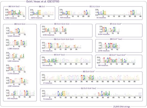 A B And D We Validated The Presence Of Motifs Reported In The