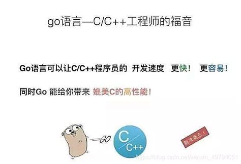 Java与go语言哪个更容易学？java和go哪个简单 Csdn博客