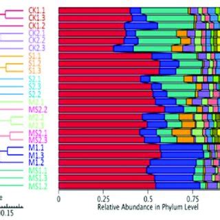 Biplot Ordination Of A Principal Coordinate Analysis PCoA Of Download Scientific Diagram