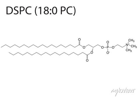 Digital Vector Illustration Of The Chemical Structure Of Dspc Posters