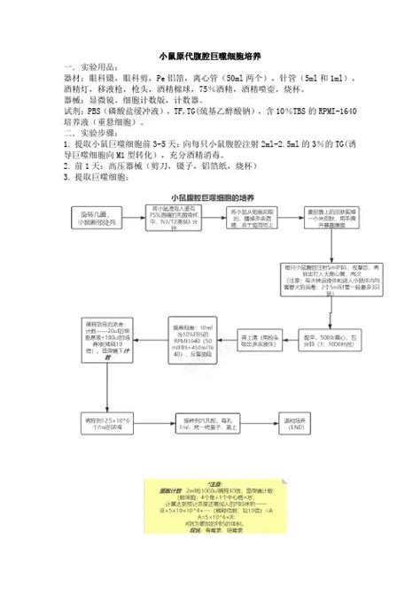 小鼠原代腹腔巨噬细胞提取方法 超详细~ 文档之家