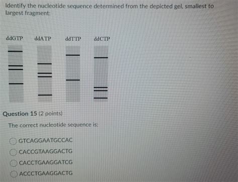 Solved Identify The Nucleotide Sequence Determined From The