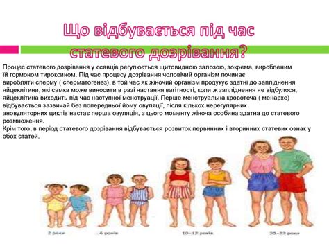 Статеве розмноження людини Online Presentation