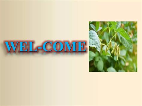 Final Ppt Project And Tour Ppt