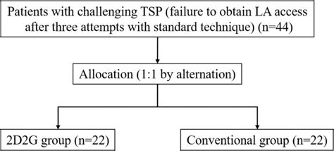 Study Flowchart Patients With Difficult Tsp Were Allocated To The 2d2g Download Scientific