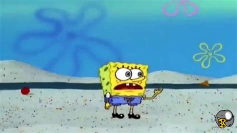 برنامه کودک باب اسفنجی باب اسفنجی و پاتریک فیلو