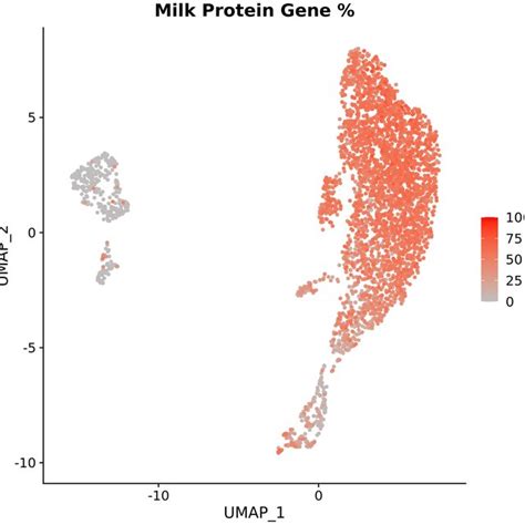 The Dilution Effect Very Highly Expressed Milk Protein Genes Within