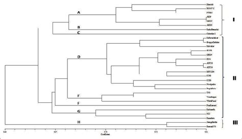 dendrogram of rice accessions based on issr markers using upgma based