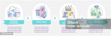 계절 질병 벡터 인포그래픽 템플릿 배설물 경구 경로 전송 프리젠 테이션 디자인 요소 4단계로 데이터 시각화 프로세스 타임라인 차트입니다 선형 아이콘이 있는 워크플로 레이아웃