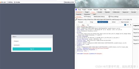 Sql注入——二次注入 Csdn博客