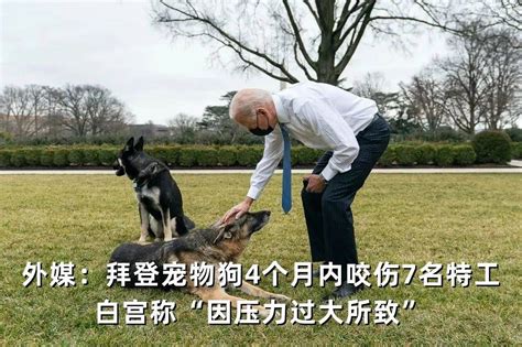 突发！美“死神”无人机又被俄战机击中美国俄罗斯发射