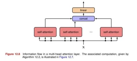 Transformers Without Positional Encoding Are Permutation Equivariant When You Dont Use