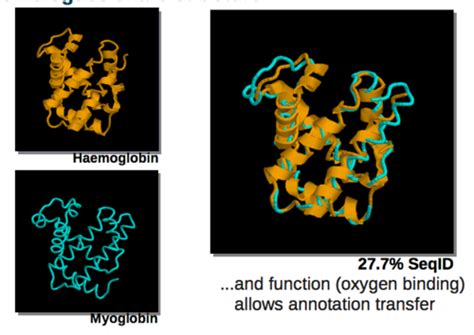Bioinformatics Flashcards Quizlet