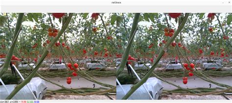 GitHub Suke Toudara ClearViewProcessor Tools For Image Sharpening