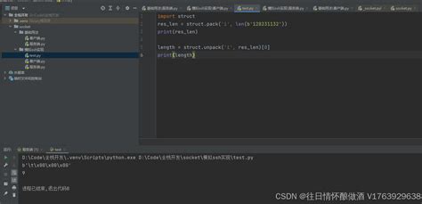 Python之网络编程（socket）python Socket Csdn博客