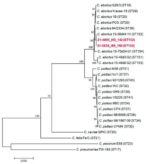 Phylogenetic Analyses Of Multilocus Sequence Typing Mlst Concatenated