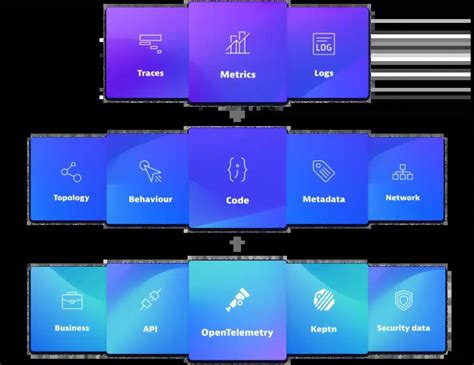 Dynatrace Is A Leader In Ai Says Bmo Capital Markets Cantech Letter