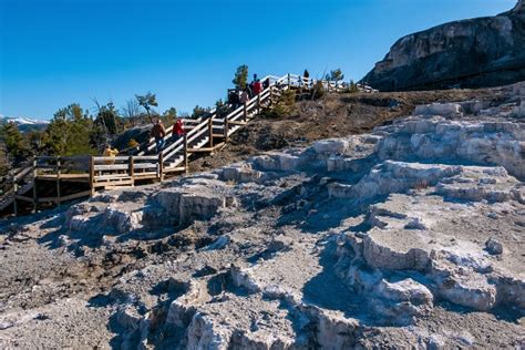 All About Mammoth Trail Fest