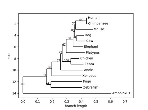 Getsupport Function Does Not Display Branch Supports For All · Issue 1887 · Biopython