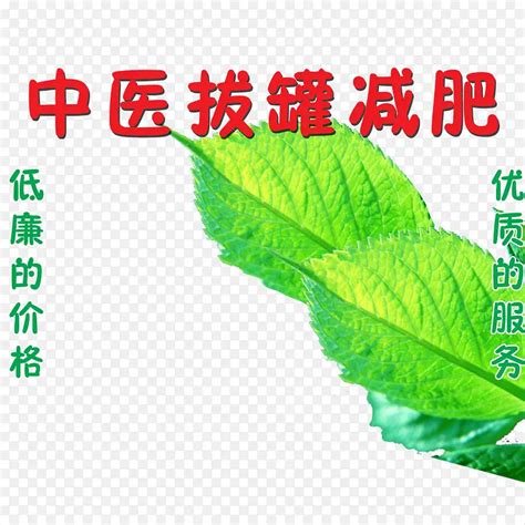 中医拔罐减肥PNG图片素材下载 图片编号8816256 PNG素材网
