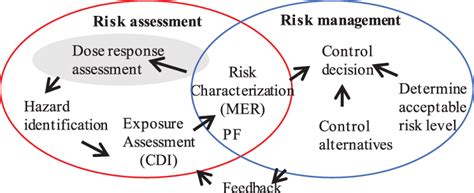 Dose Response Assessment Is A Step In The Risk Assessment Process Download Scientific Diagram