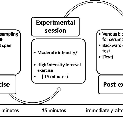 Overview Of Experimental Sessions Download Scientific Diagram