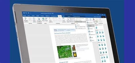 How To Select All In Word
