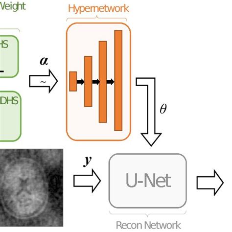 Proposed Model Reconstruction Network Takes As Input The Under Sampled Download Scientific