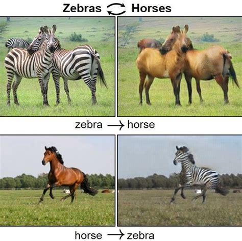 Simplified Cyclegan Implementation In Pytorch Vision Motion Code