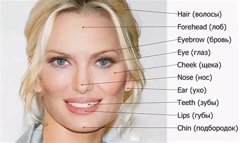 Фото Для Описания Внешности На Английском Языке — Картинки фотографии