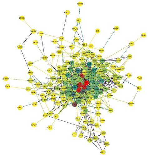 string network of 197 target proteins number of nodes 173 number of