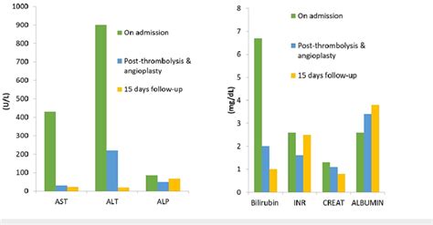 Bar Chart Showing Normalization Of Liver Enzymes Bilirubin And
