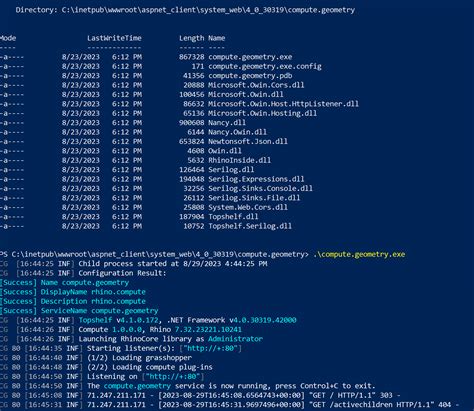 Issue Deploying Rhinocompute To Production Server Computerhino3d Mcneel Forum