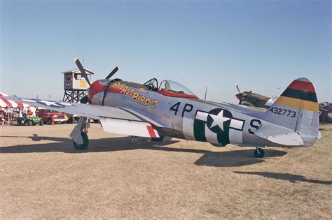 P 47d Thunderbolt Big Ass Bird Ii Scan From Photo D Miller