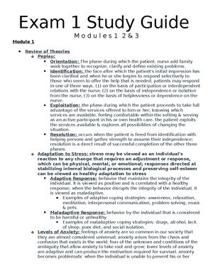 BCM Assessment B 2 Concept Maps ACTIVE LEARNING TEMPLATES Basic Concept Babe NAME Studocu