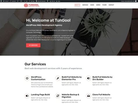 Wordpress Theme Plugin Woocommerce Theme Customization Upwork