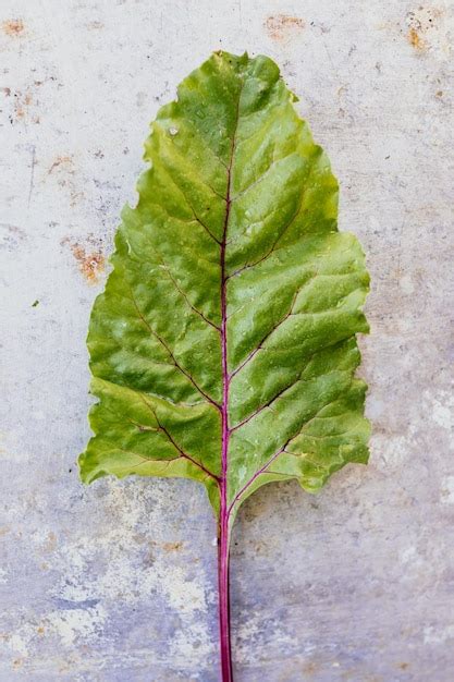 Premium Photo Beetroot Leaf