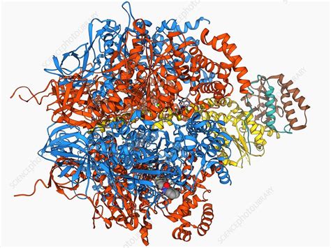 Atpase Molecule Stock Image F0069300 Science Photo Library
