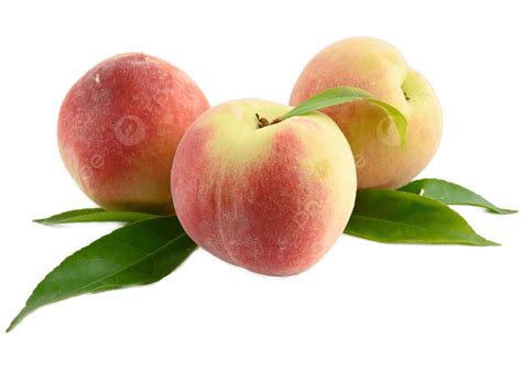 복숭아 맛있는 분홍색 부드러운 신선한 과일 맛있는 사진 복숭아 맛좋은 복숭아 장식 Png 일러스트 및 이미지 에 대한 무료 다운로드 Pngtree