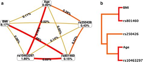 Mdr Analysis Of Sra1 Gene Snp Interaction With Age And Bmi A Circular Download Scientific