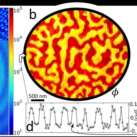 Imaging Of Magnetic Domains With 49 Nm Resolution A Recorded