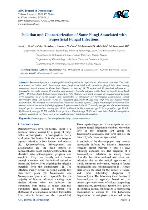 Pdf Isolation And Characterization Of Some Fungi Associated With