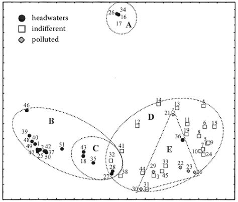 Two Dimensional Mds Graph Based On The Distance Matrix Of Fish