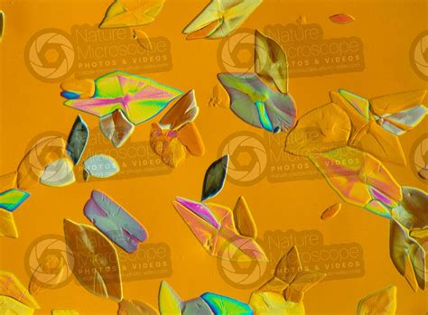 Sodium Arsenate 04 Covers Photos