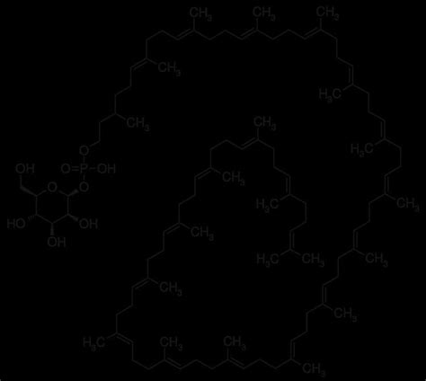 Dolichol Monophosphate Mannose Alchetron The Free Social Encyclopedia