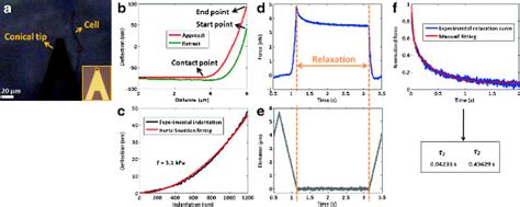 Measuring The Viscoelastic Properties Youngs Modulus Relaxation Download Scientific Diagram