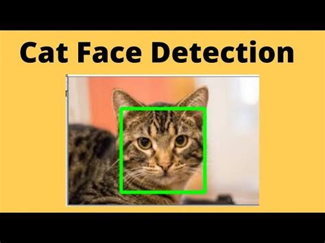 Free Video Python OpenCV Projects From YouTube Class Central