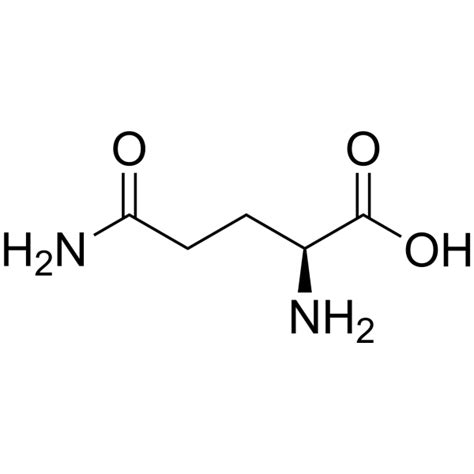 L Glutamine Standard Endogenous Metabolite Medchemexpress