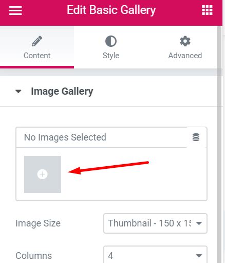 How To Create A Beautiful Image Gallery With Elementor WPPagebuilders