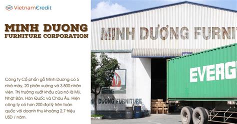 CÔNG TY GỖ HÀNG ĐẦU VIỆT NAM Báo cáo công ty